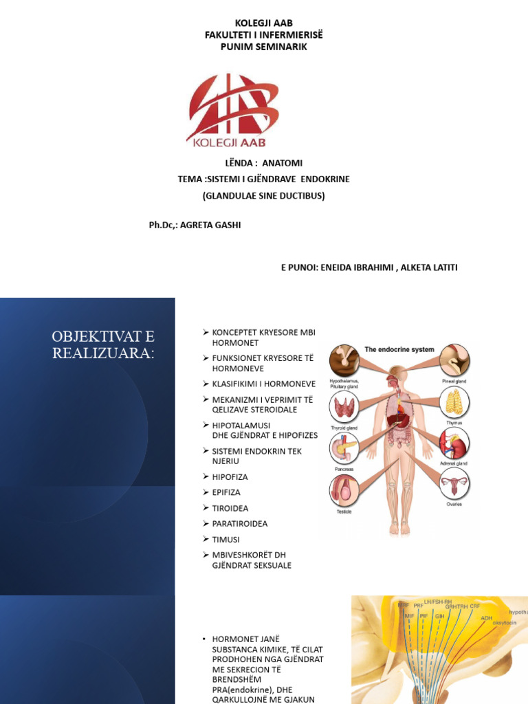 Presentation 5 | PDF