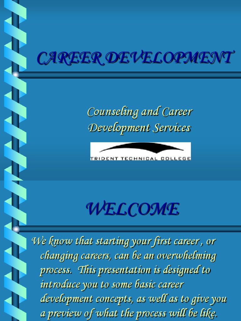 Career Development Guide | PDF