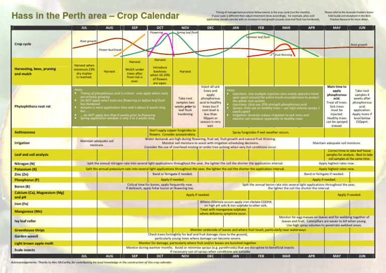 Hass Avocado Crop Calendar for Perth | PDF | Soil | Trees