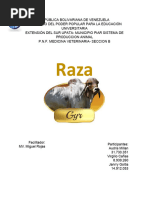 Ficha Técnica Del Pasto Imperial (Axonopus Scoparius, Hitchc) | PDF ...