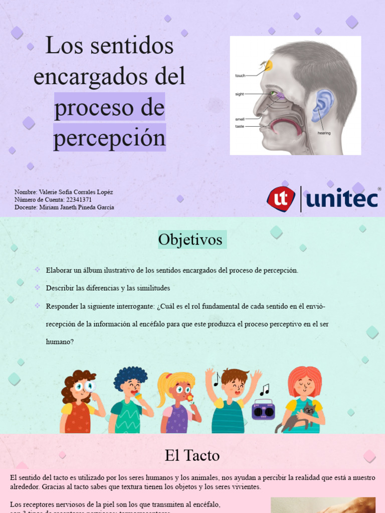 Los Sentidos Encargados Del Proceso de Percepción | PDF | Percepción | Gusto