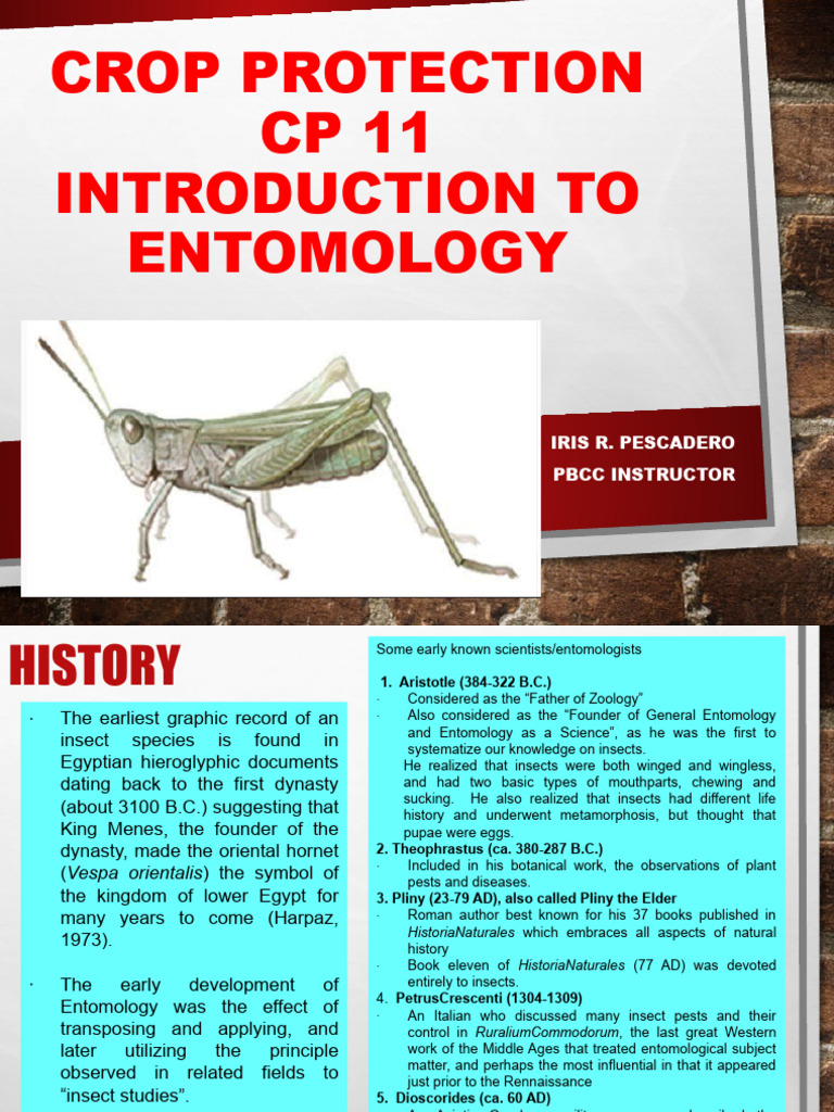 Historical Overview of Entomology | PDF | Insects | Arthropods
