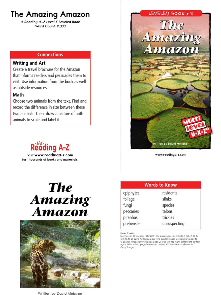 Exploring the Amazing Amazon Rainforest | PDF | Rainforest | Tropics