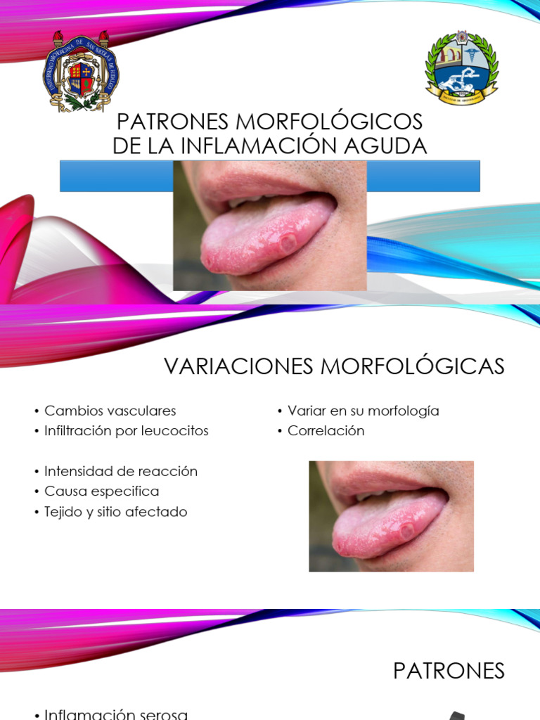 3 Patrones Morf Inflam | PDF