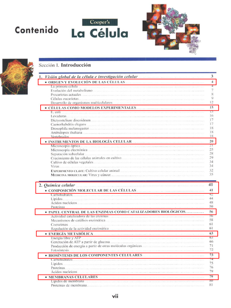 Cooper - La Célula | PDF