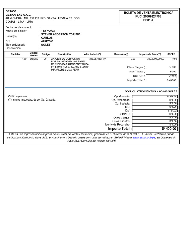 Modelo Boleta Electronica | PDF
