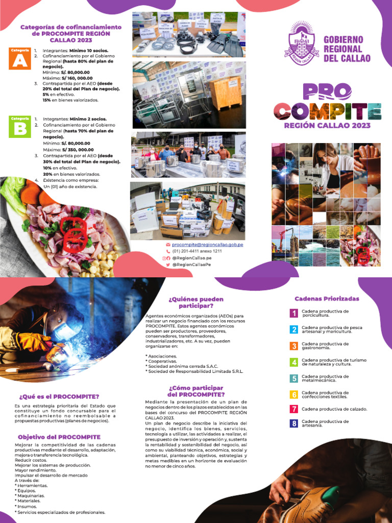 Triptico Informativo-Procompite | PDF