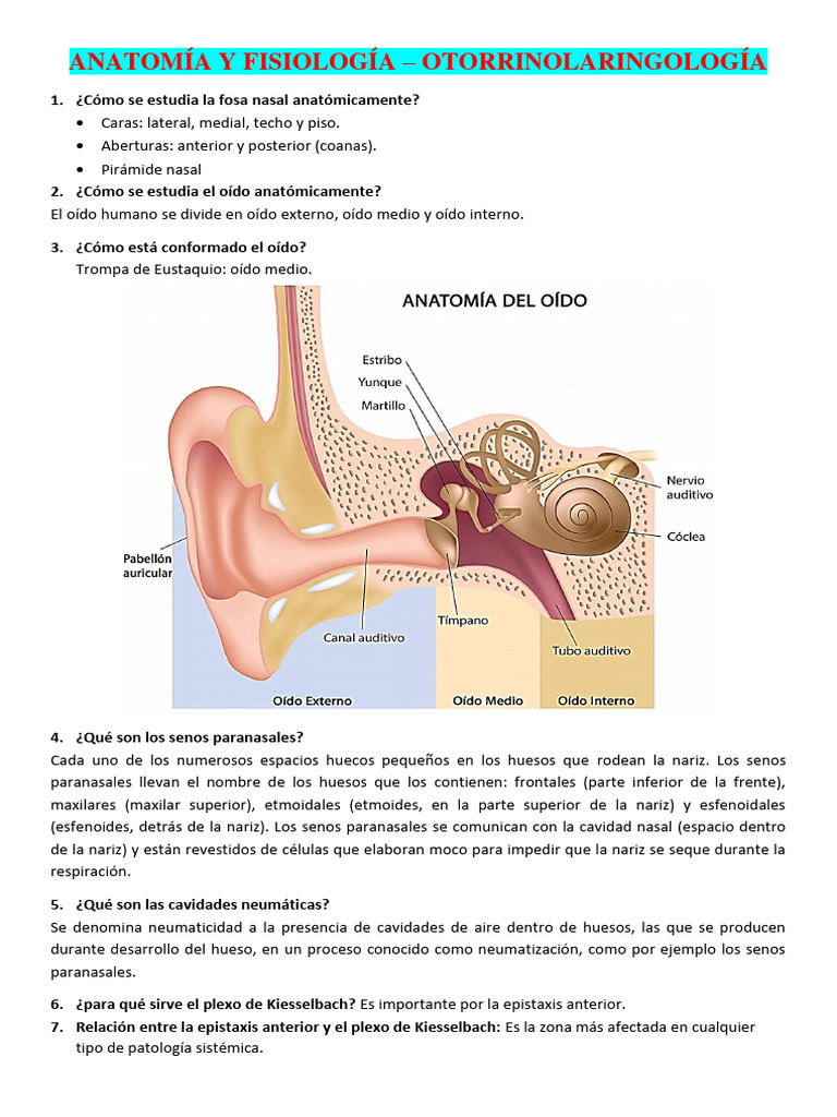 Resumenes Orl Fusionado | PDF | Nariz humana | Escuchando