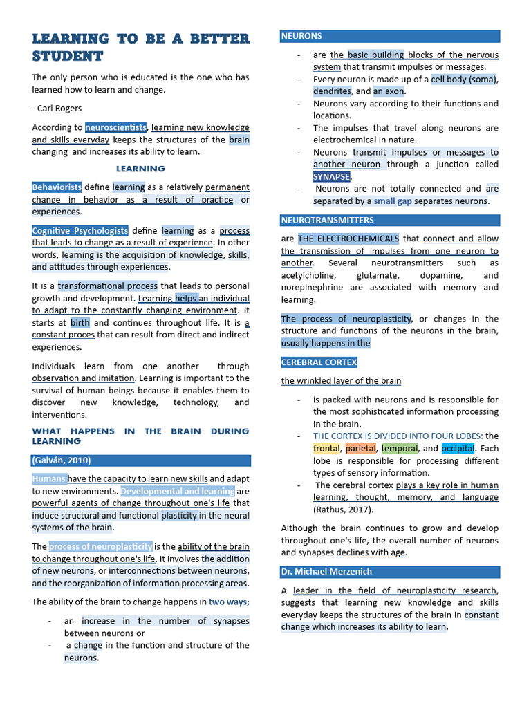 Learning To Be A Better Student | PDF | Neuron | Metacognition