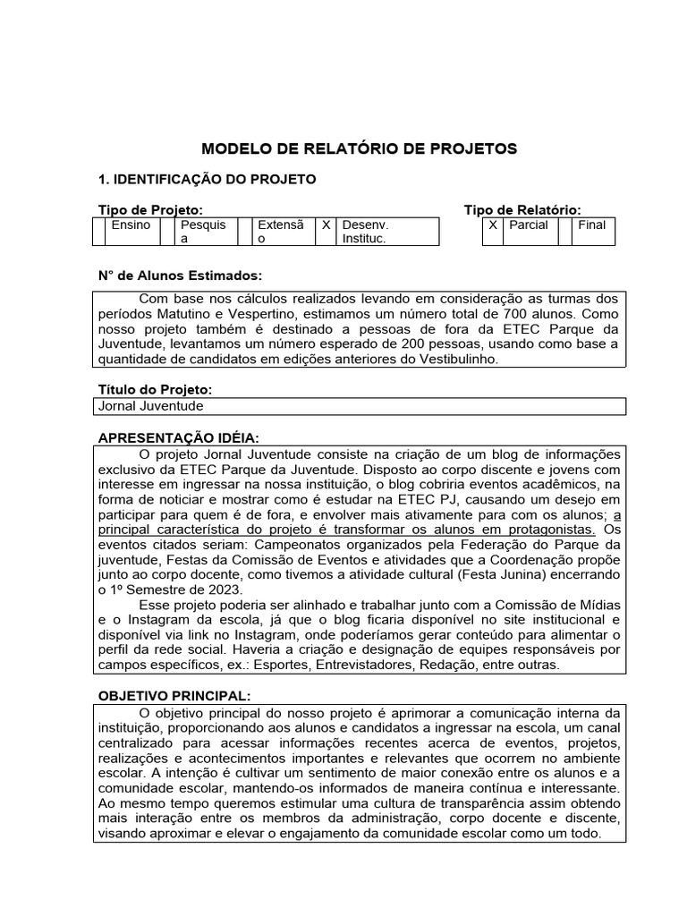Modelo Básico Relatório de Projetos | PDF | Blog | Juventude