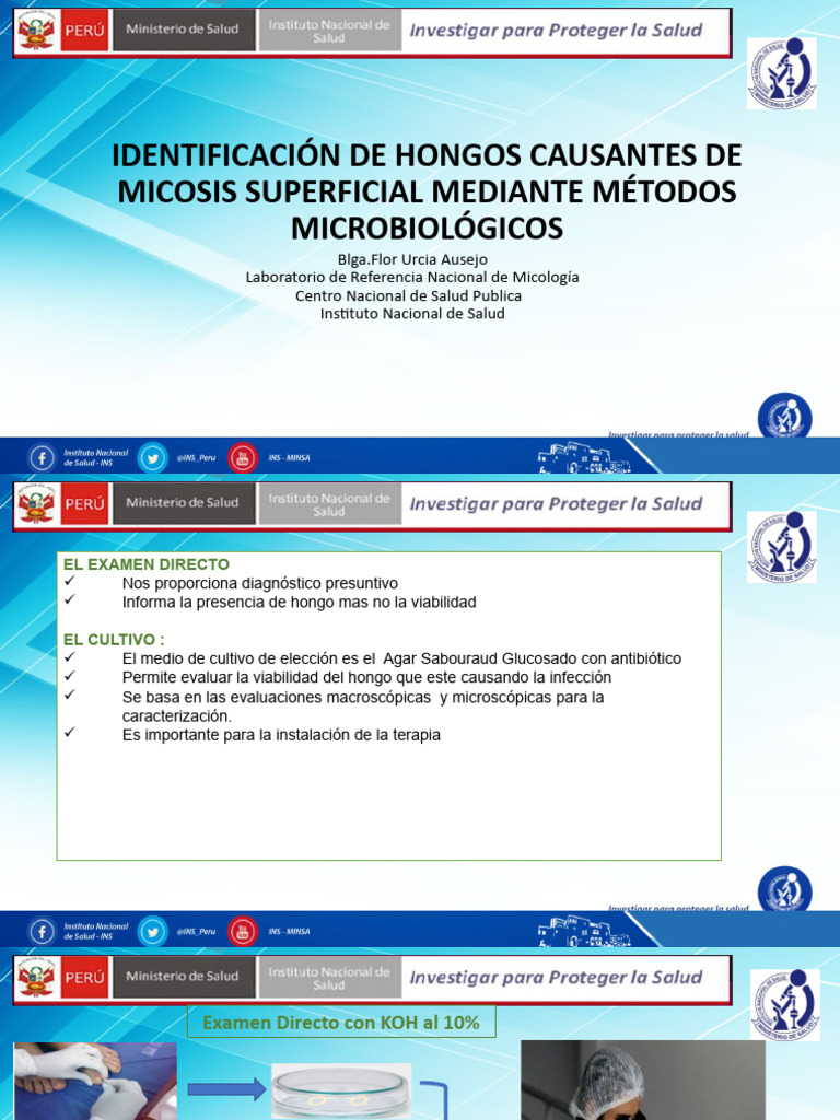 Tema 4 Identificación de Hongos Causantes de Micosis Superficial ...