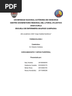 GPC - Corioamnionitis | PDF | Partería | Parto