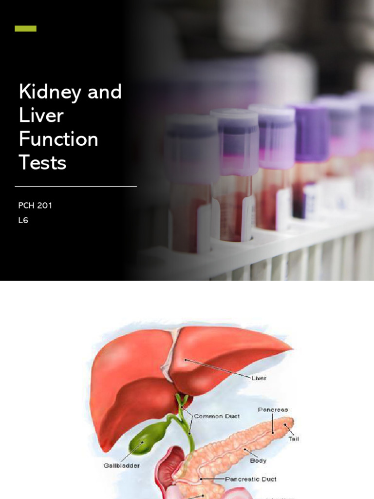 Liver & Kidney Function Tests Guide | PDF | Creatinine | Liver