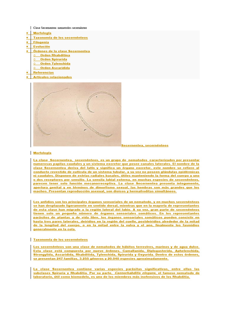 Clase Secernentea | PDF | Nematodo | Pulmón