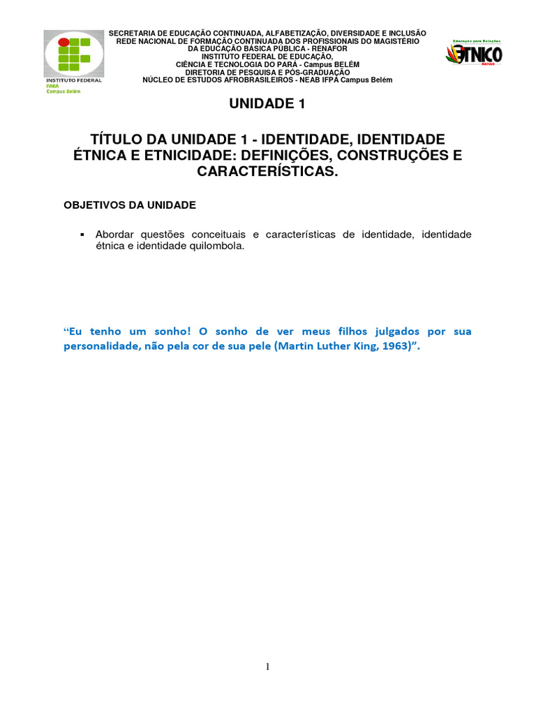 2-Identidade, Identidade Étnica e Etnicidade Definições, Construções e ...