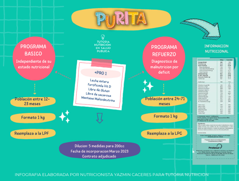 Infografia Purita - Pro | PDF