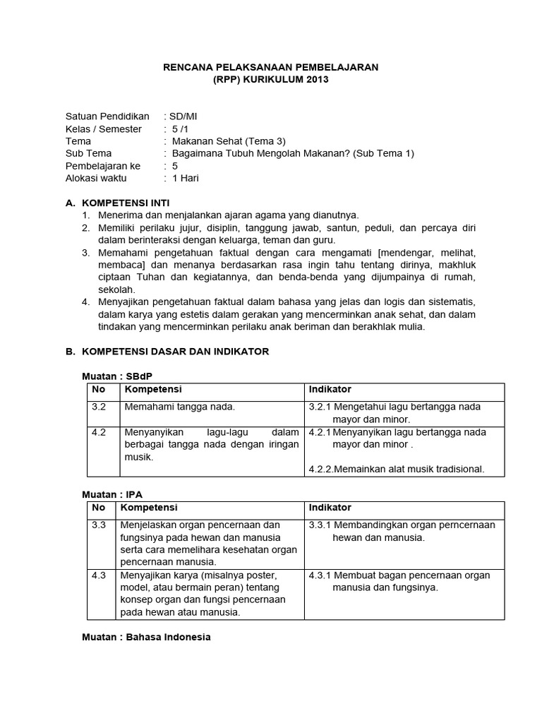 RPP Pembe 5 Kelas 5 | PDF | Karier & Perkembangan | Kesehatan Holistik