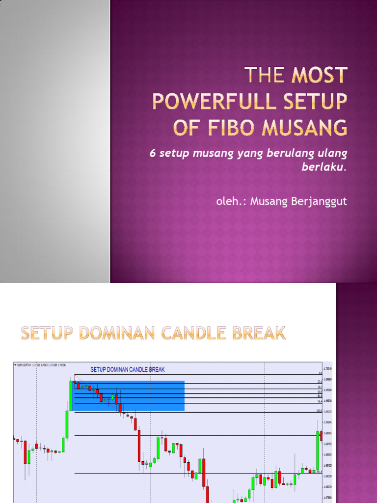 The Most Powerfull Setup of FIBO MUSANG | PDF