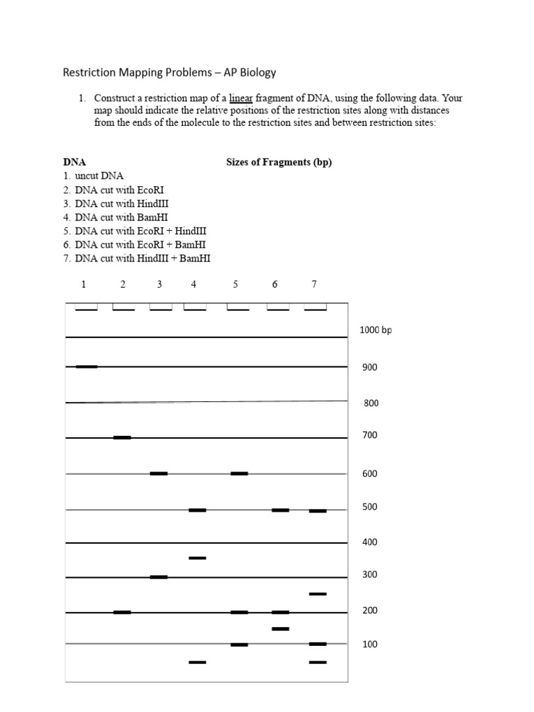Restriction Mapping Problems | PDF