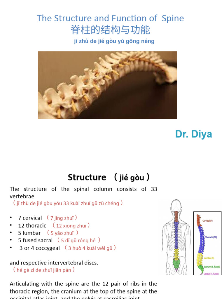 DR - Diya Lec 1 | PDF