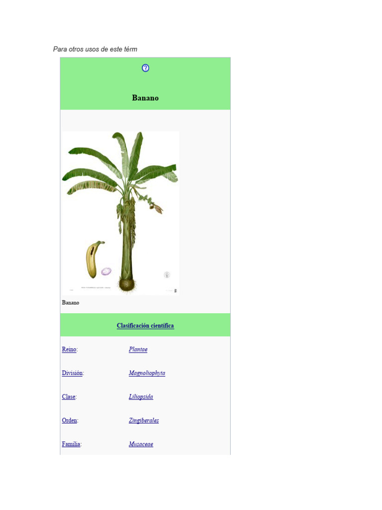 Platanos | PDF | Plátano | Plantas
