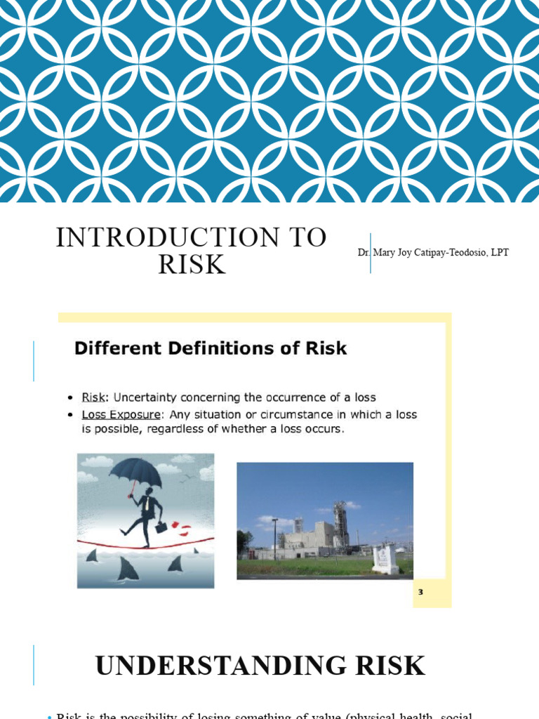 1.introduction To Risk 2 | PDF | Financial Risk | Risk