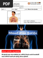 ICT Lesson 1 Short Note (Sinhala) | PDF | Information Technology ...
