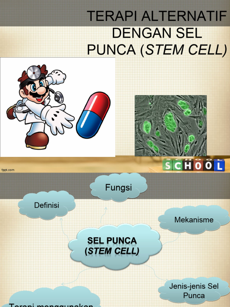 Terapi Sel Punca: Definisi & Aplikasi | PDF | Sains & Matematika