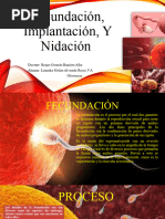 GUIA de ESTUDIO Especuloscopía | PDF | Vagina | Medicina