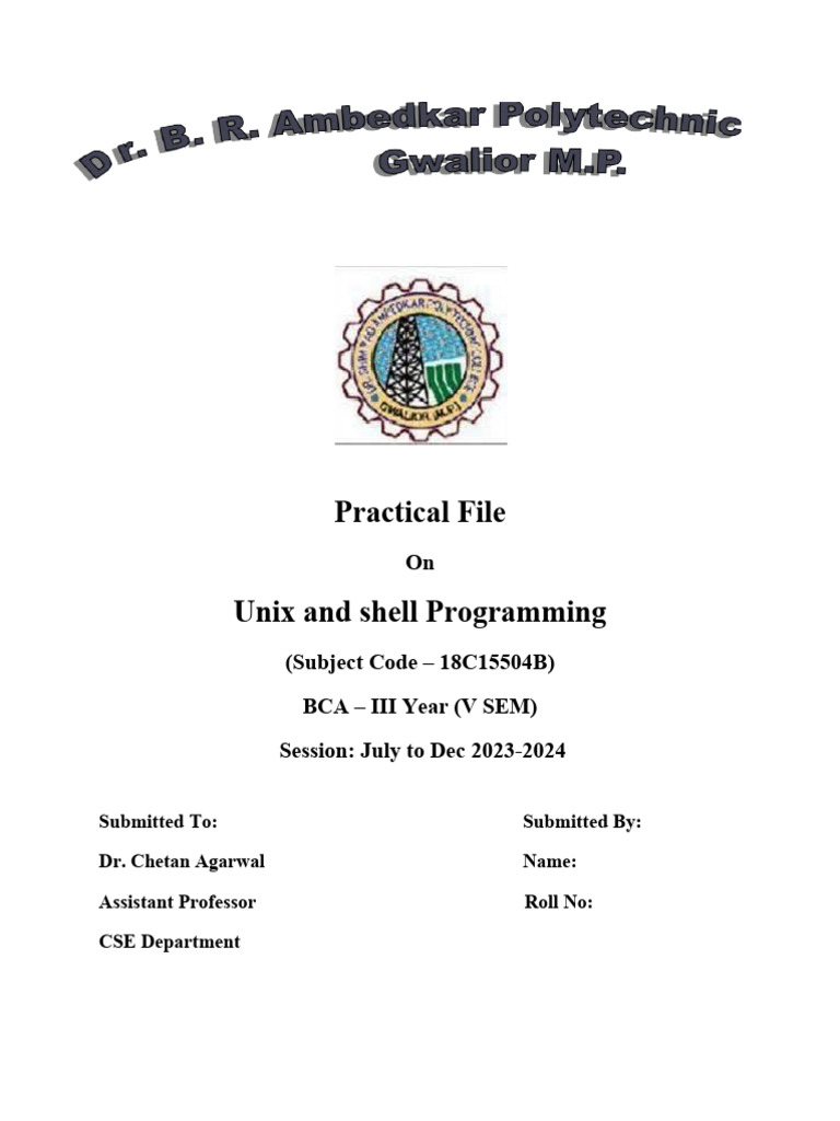 Practical File Format | PDF | World Wide Web | Internet & Web