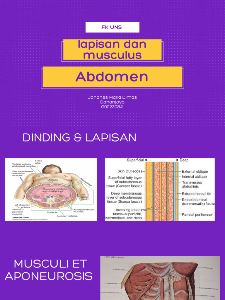 Lapisan Dan Musculus | PDF