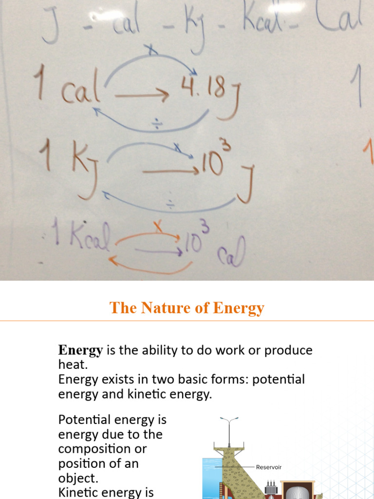 CA Lesson 1 Energy | PDF | Calorie | Physical Sciences