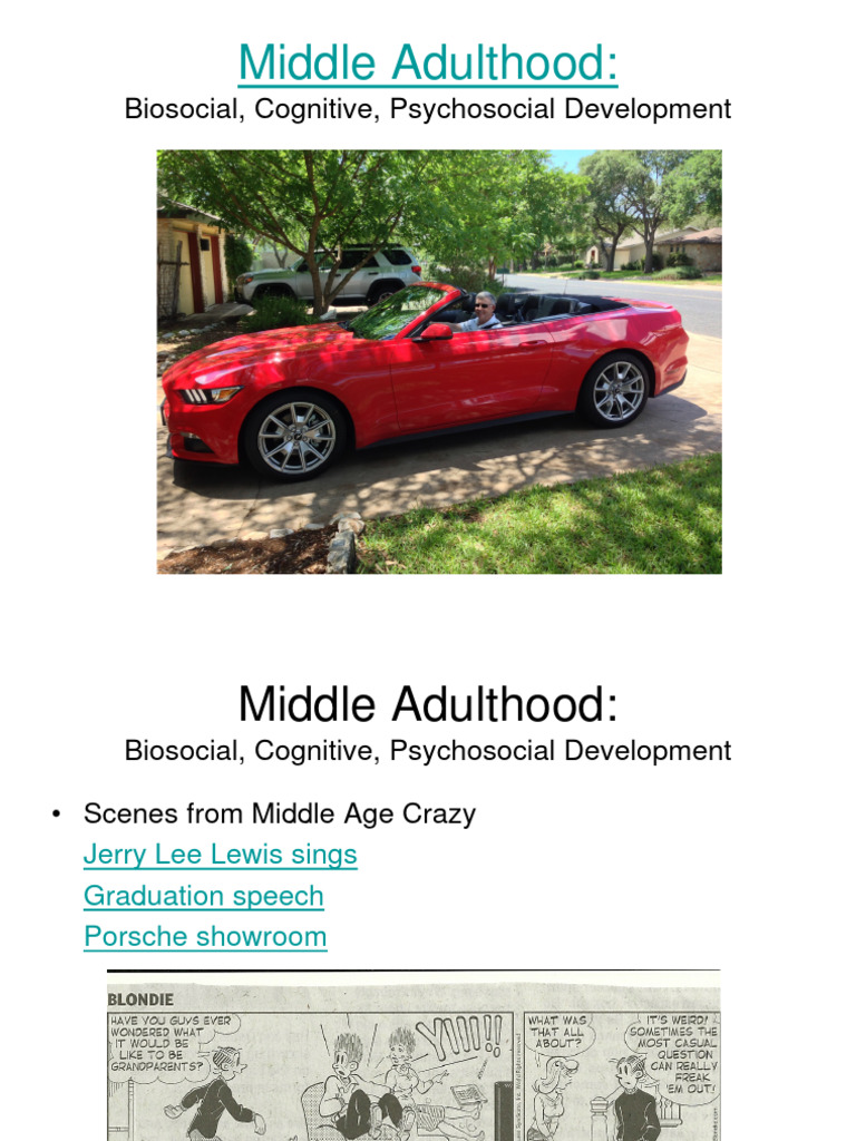 Middle Adulthood | PDF | Developmental Psychology | Cognition