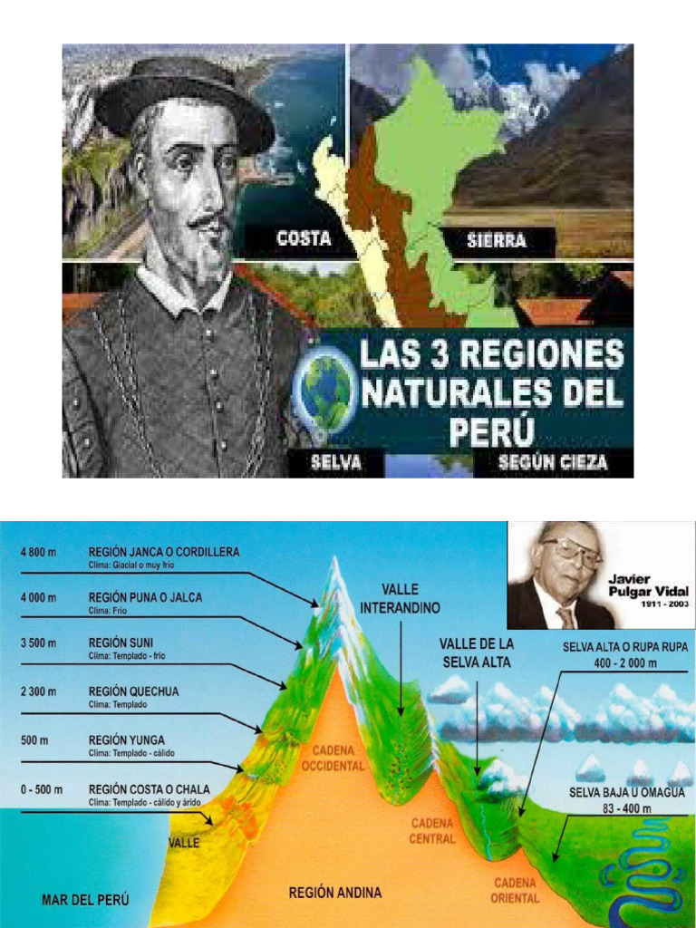 3 Regiones Naturales | PDF