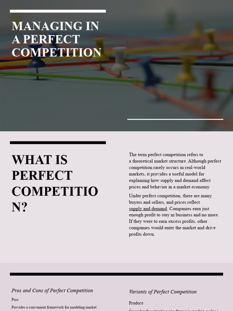 Managing Perfect Competitions | PDF | Long Run And Short Run | Perfect ...