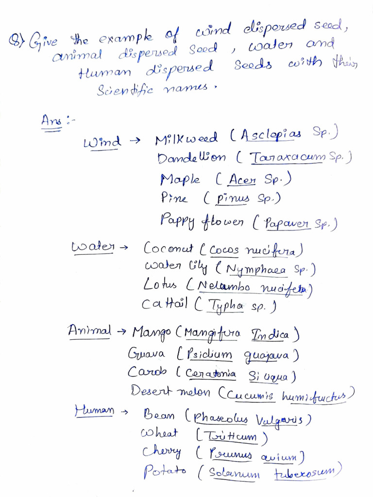 2nd Assignment Pdf 1880