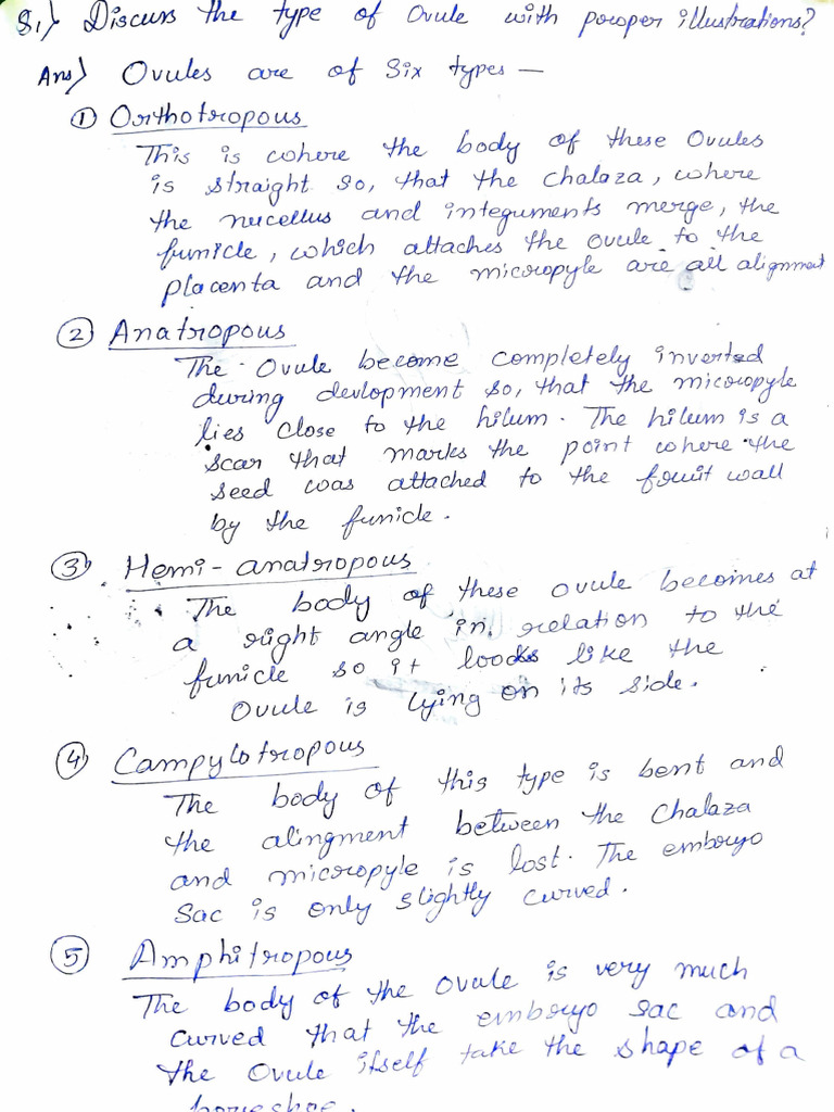 4th Assignment | PDF | Branches Of Botany | Horticulture