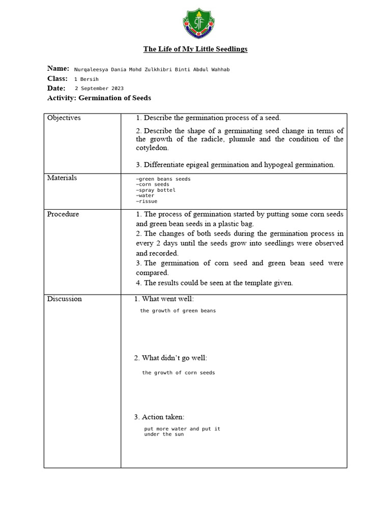 Science Project Report - My Little Seedlings 3 | PDF | Seedling ...