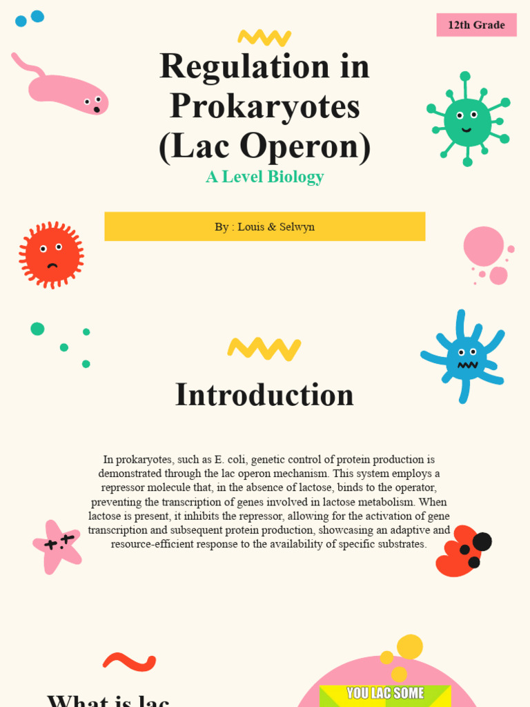 Lac Operon | PDF | Operon | Repressor