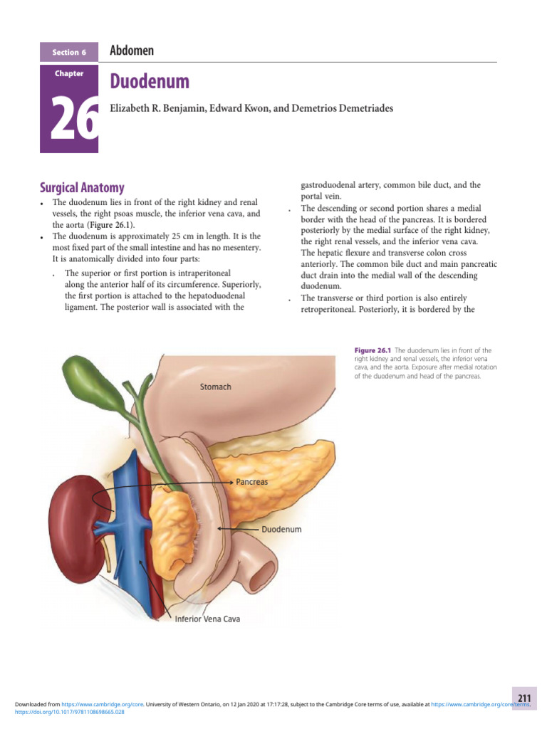 Benjamin 2019 | PDF | Pancreas | Abdomen
