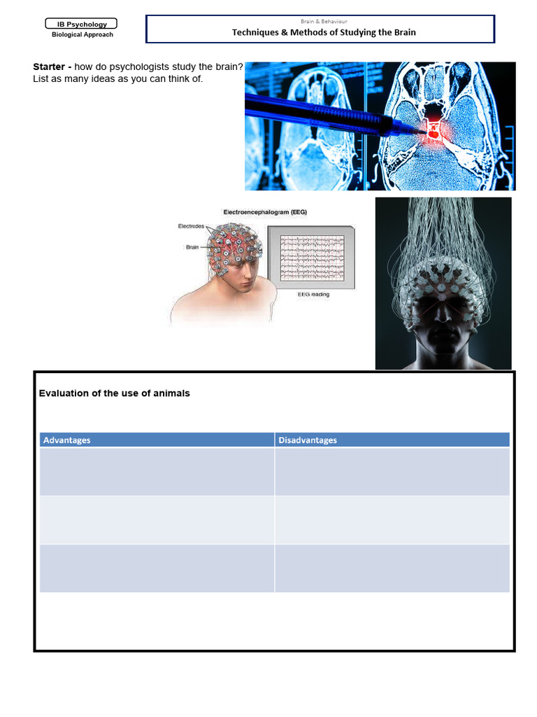 List As Many Ideas As You Can Think Of.: Techniques & Methods of Studying The Brain | PDF ...