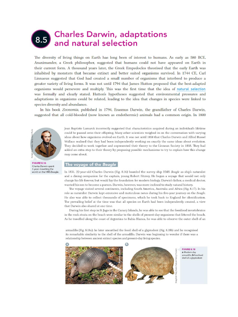 Darwin's Finches and Australian Fauna and Flora | PDF | Species | Organisms