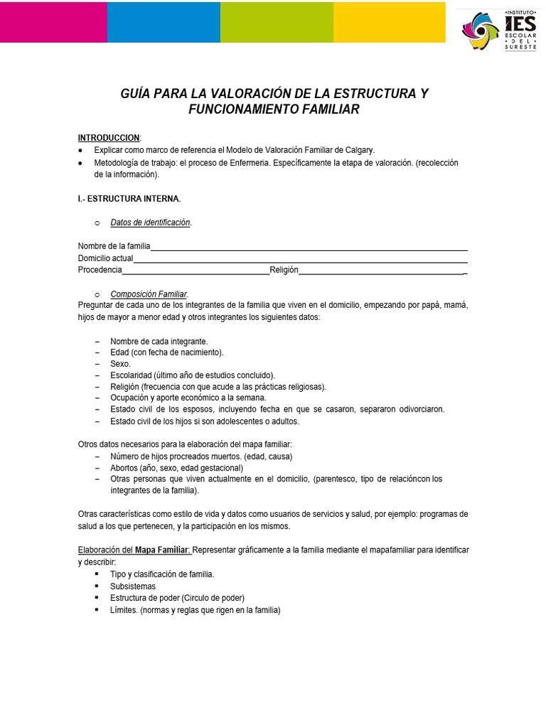 GUIA DE VALORACION FAMILIAR Enfermería Comunitaria | PDF | Familia