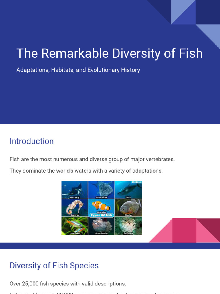 The Remarkable Diversity of Fish | PDF | Fish | Gill