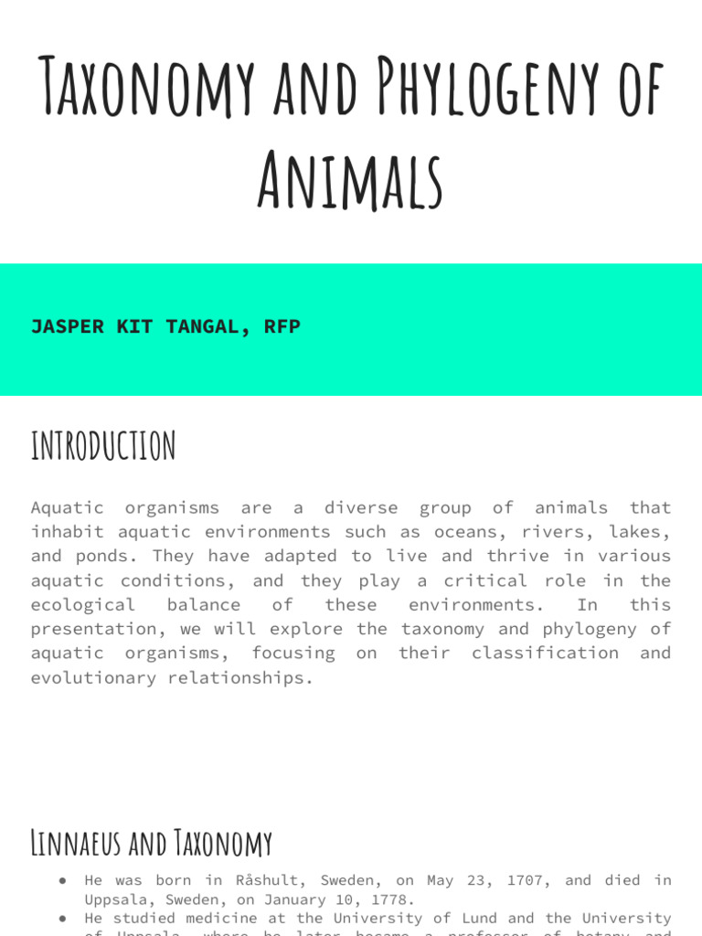 Taxonomy and Phylogeny of Animals | PDF | Taxonomy (Biology) | Invertebrate