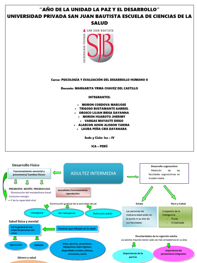 Adultez Intermedia | PDF | Adultos | Menopausia