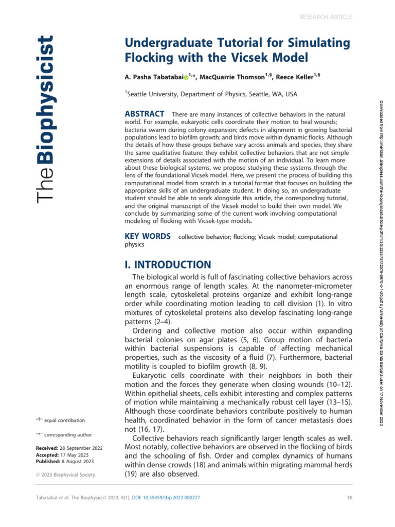 Vicsek Model Tutorial Pdf Steady State Simulation