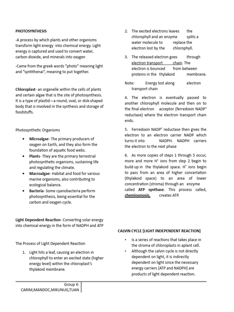 Group 4 - Photosynthesis | PDF | Photosynthesis | Chloroplast