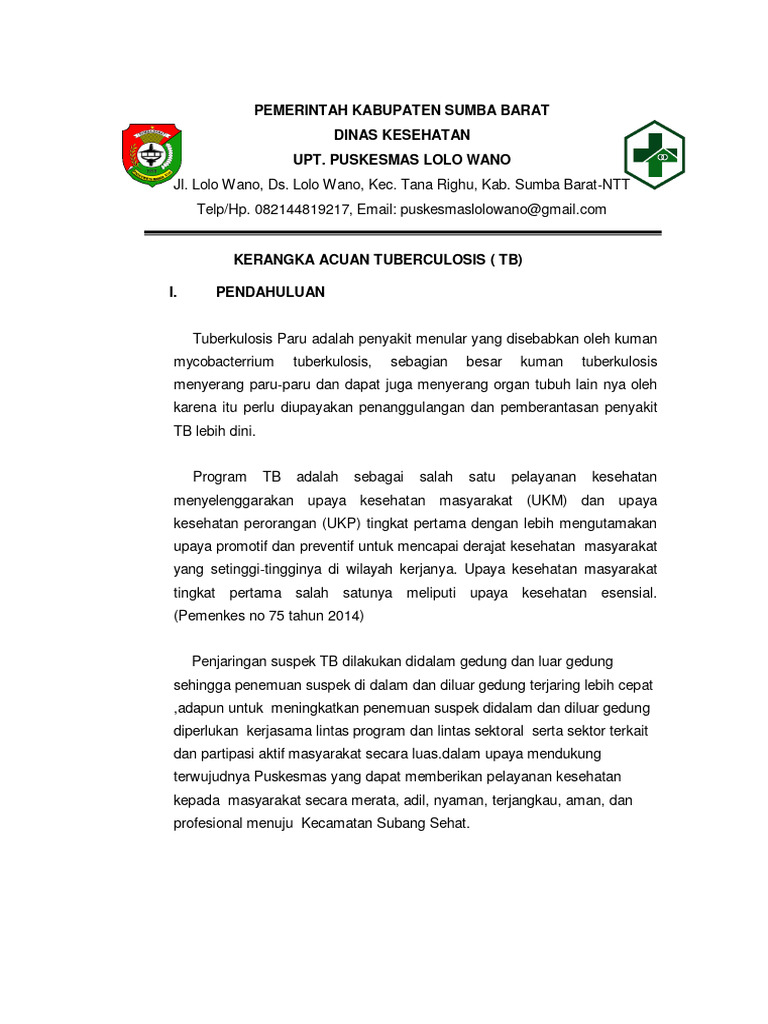 Program TB Puskesmas Lolo Wano | PDF | Pengembangan Diri | Kesehatan Holistik