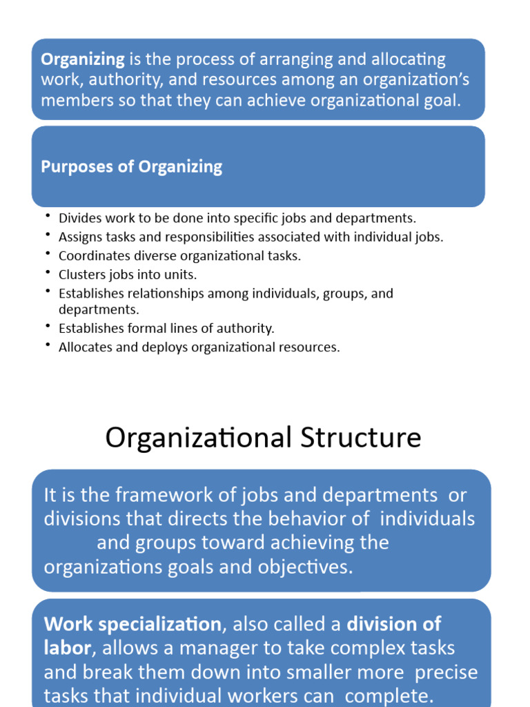 UNIT 3 Organisation | PDF | Organizational Structure | Cognitive Science
